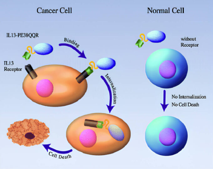 Drug Discovery Pipeline: Modern Approaches to Drug Development
